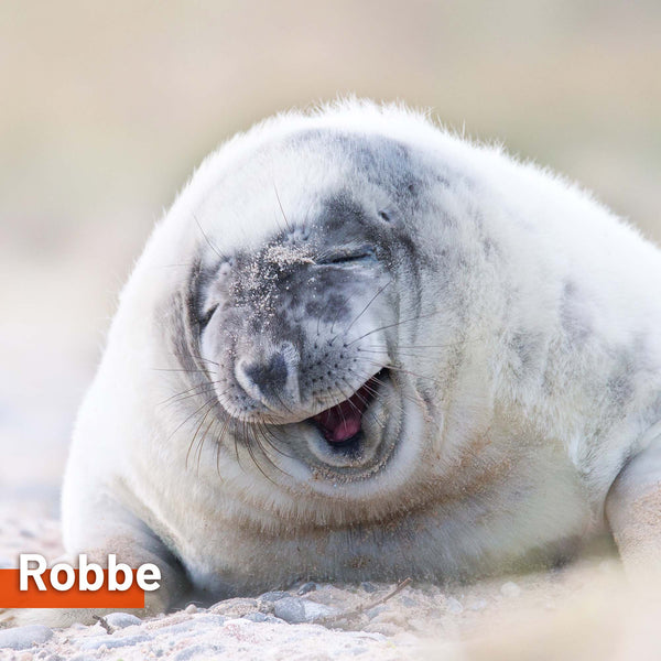 Textile sun sail ROBBE 200cm high