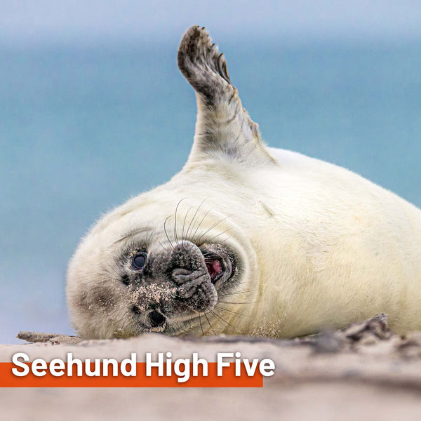 Textile sun sail SEEHUND HIGH FIVE 200cm high